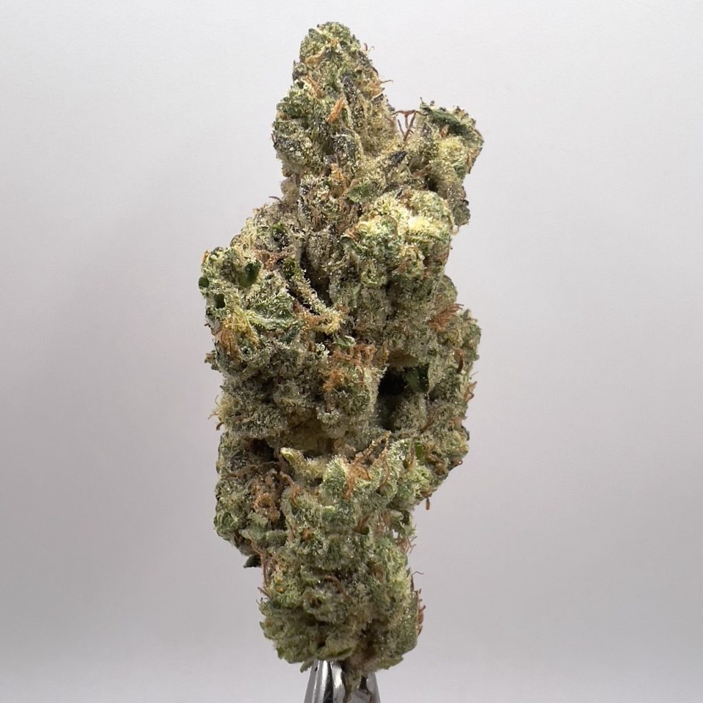 (TS) LANTZ - Miami Medical Marijuana Delivery & Weed Delivery | KushMia.net